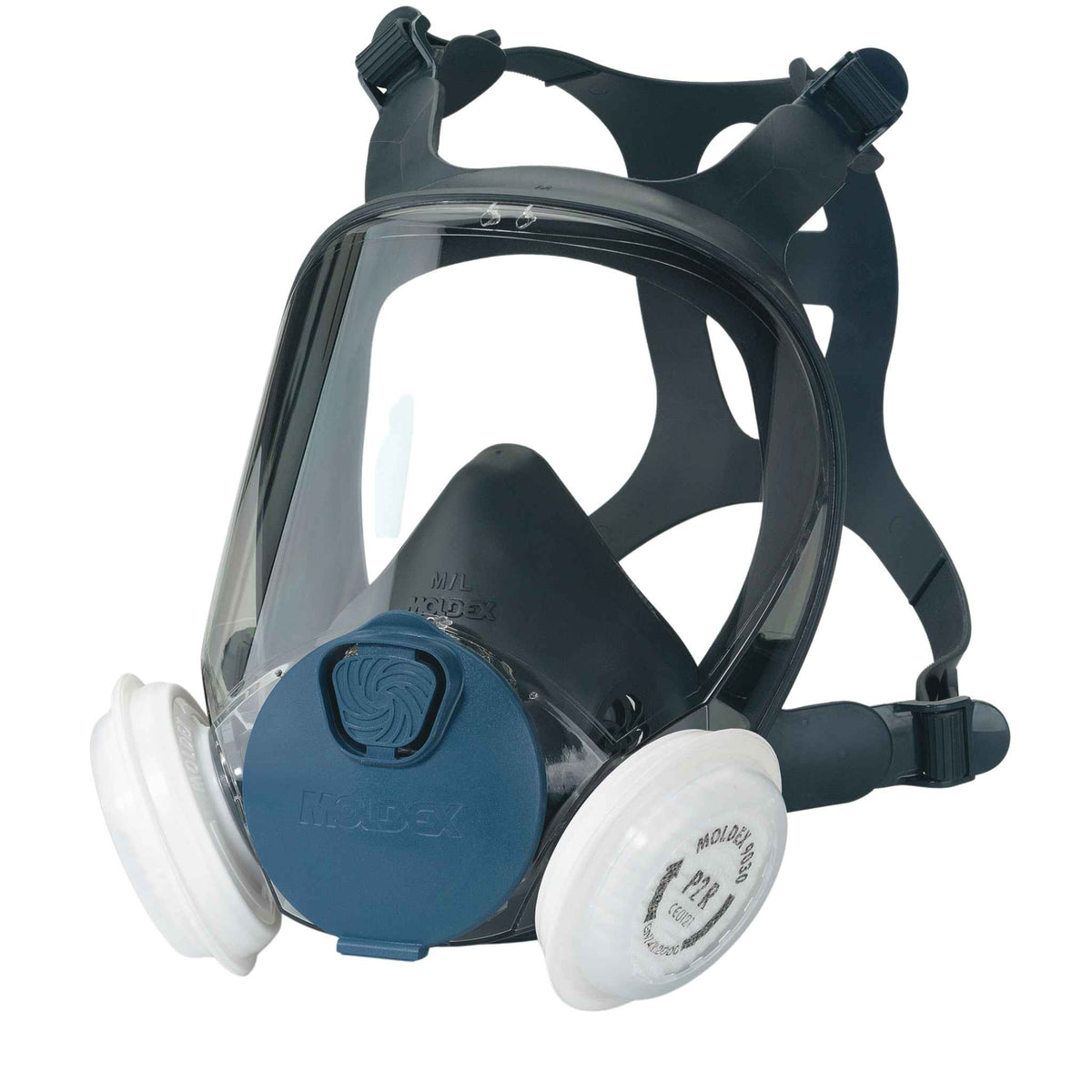 Find the best full face mask with replaceable filters and is ...